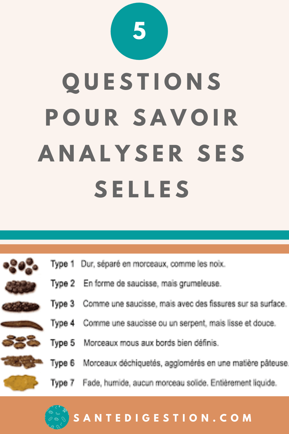 Les 5 questions pour analyser ses selles - Santé Digestion